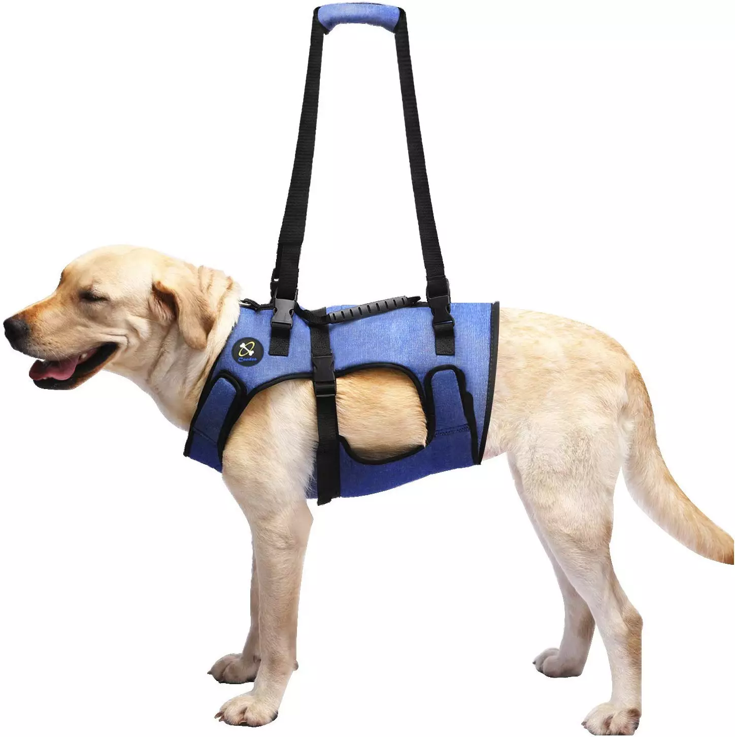 Bêste Dog Lift Harnesses 379_7