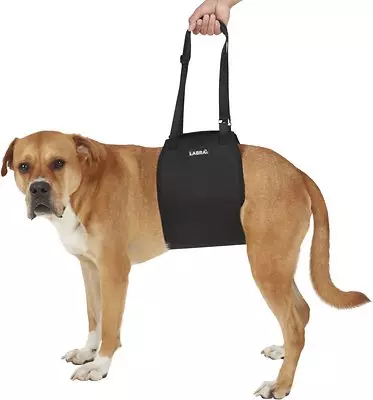 Bêste Dog Lift Harnesses 379_9