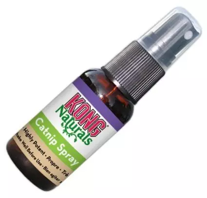 Чөптү сүйгөн мышыктар үчүн эң мыкты мышык жалбырактары: KONG Natural Catnip Spray