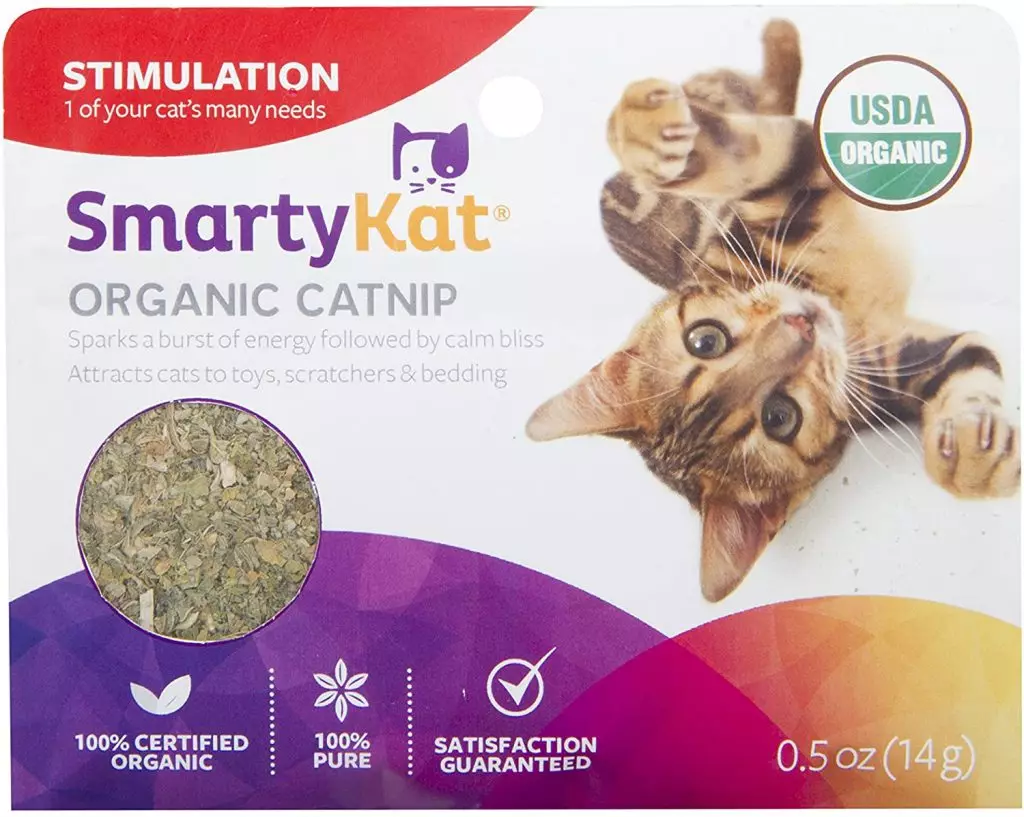 Iyo Yakanakisa Catnip yeHerb-Loving Kitties 37_6