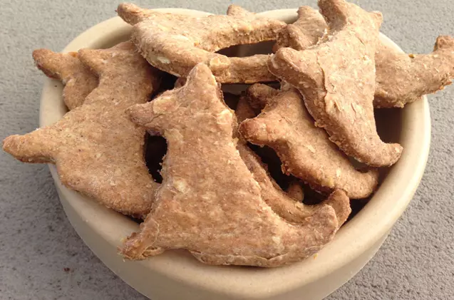 Oats Dog Treat Recipe ကို ထုတ်လိုက်ပါ။ 3860_1