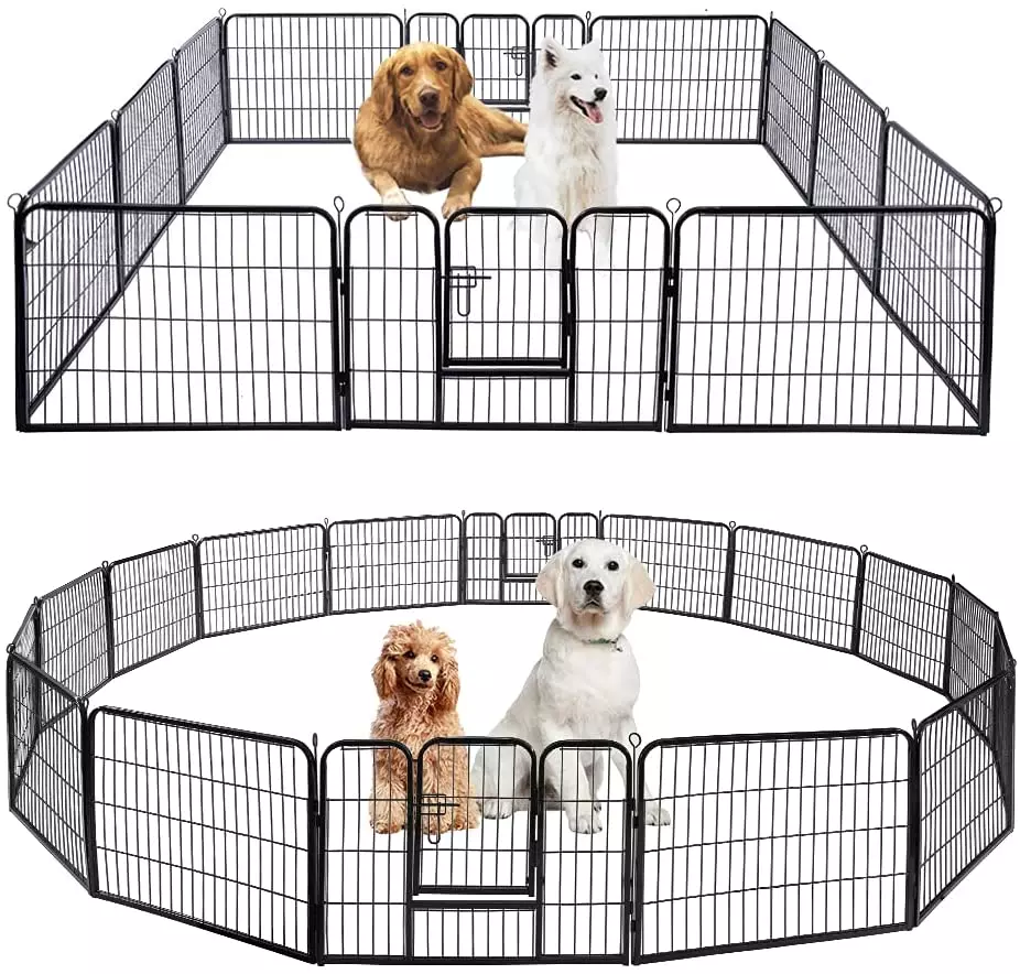 Best Outdoor Dog Fence 404_2