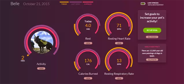 voyce-review-3