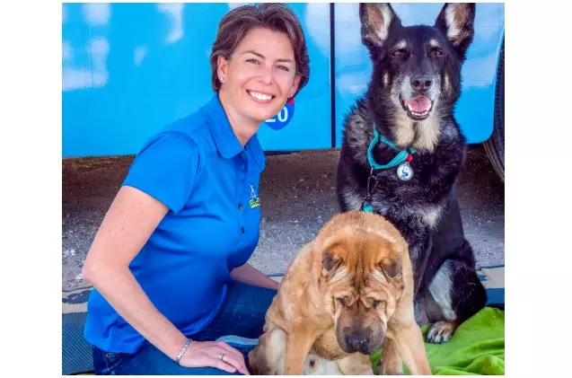 Amy Burkert anogovera bhuku reUltimate Pet-Friendly Road Trip