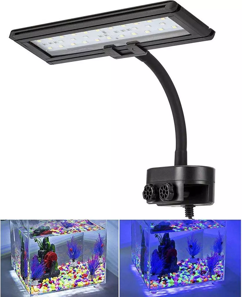 Pinakamahusay na Light Fixtures para sa isang Planted Tank 4378_6