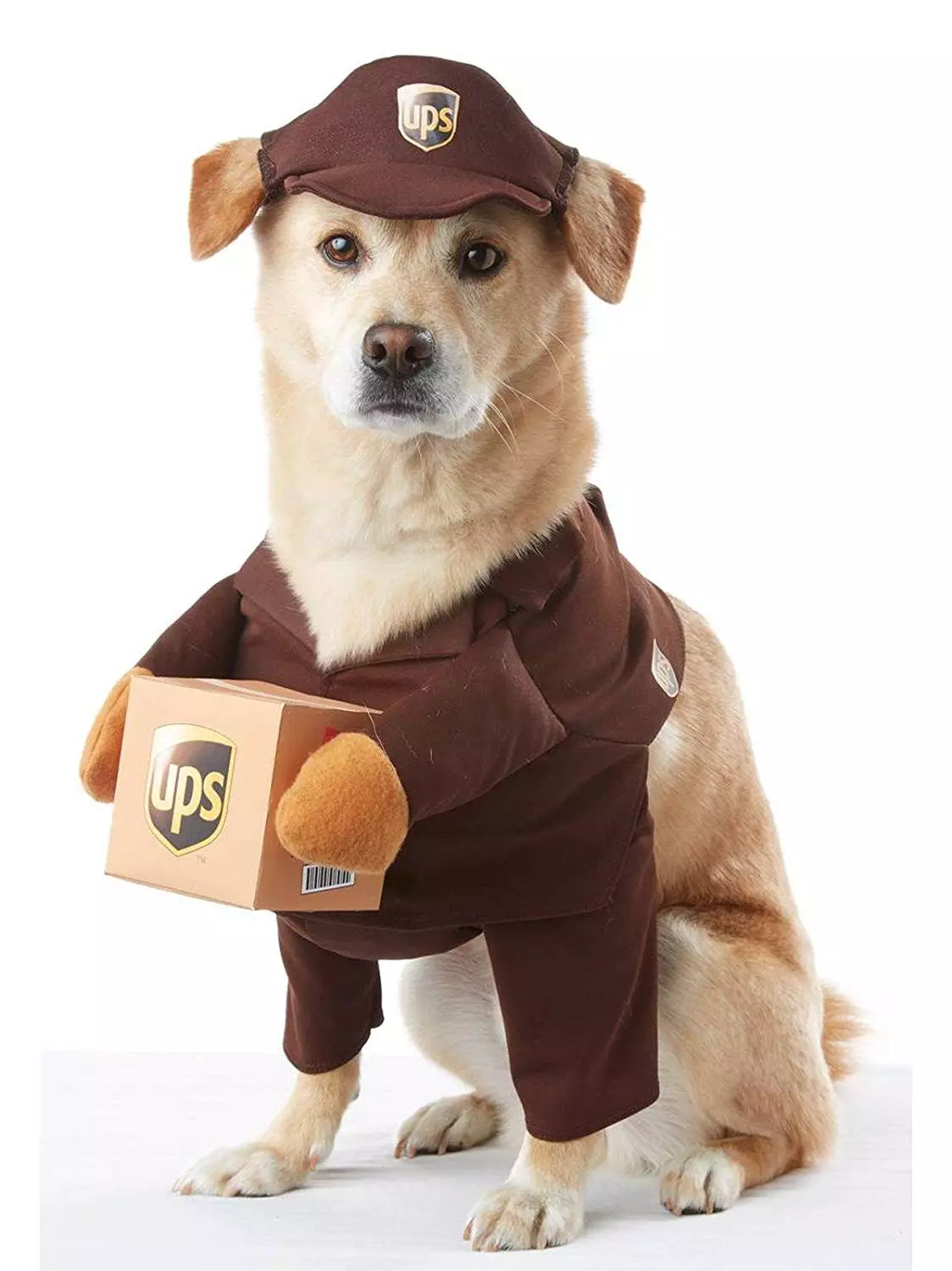 Hunda Halloween búningar: UPS Pal