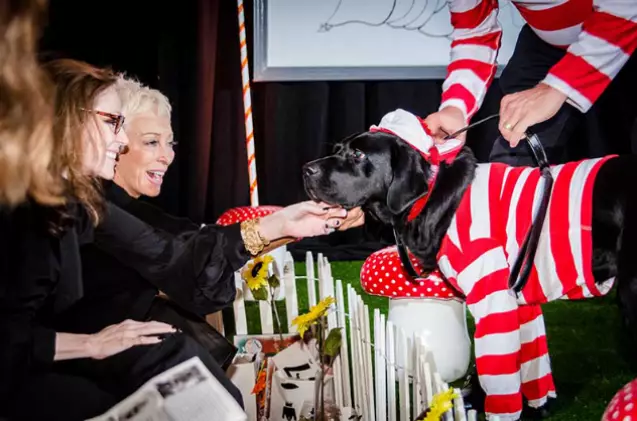 Auai ma David Arquette ile Haute Dog LA's Howl-o-Ween Spooktacular 4493_1