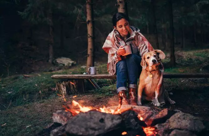 Consellos para acampar en solitario co teu can 4591_1