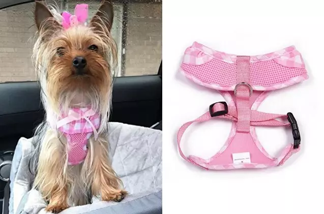 Princess Shorkies achada iyi harness