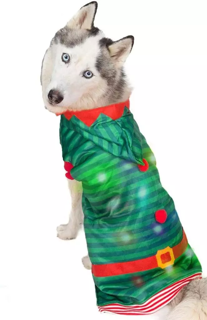 Top 10 Splendiferous Ugly Christmas Pet Sweaters 463_10