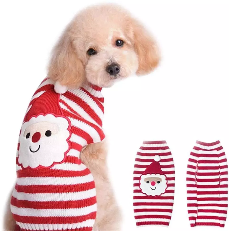 Top 10 Splendiferous Ugly Christmas Pet Sweaters 463_9