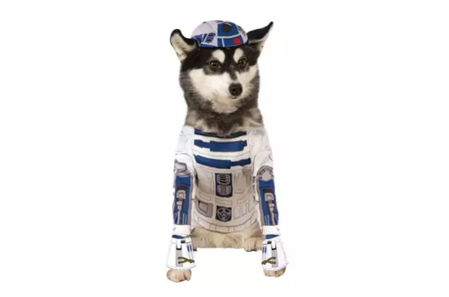 Dit is die droid doggy waarna jy soek