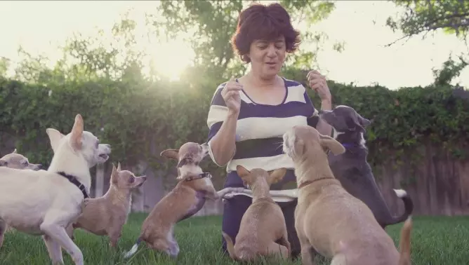 Todos los perros, todo el tiempo en el fin de semana WILD BarkFest de Nat Geo 4708_1