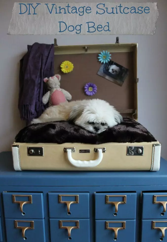 Ang vintage suitcase dog bed na ito ay isang madaling do-it-yourself na proyekto para sa sinumang tusong alagang magulang.