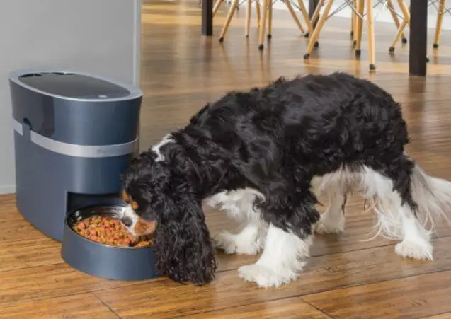 Αυτόματη τροφοδοσία κατοικίδιων ζώων PetSafe Smart Feed 4777_1