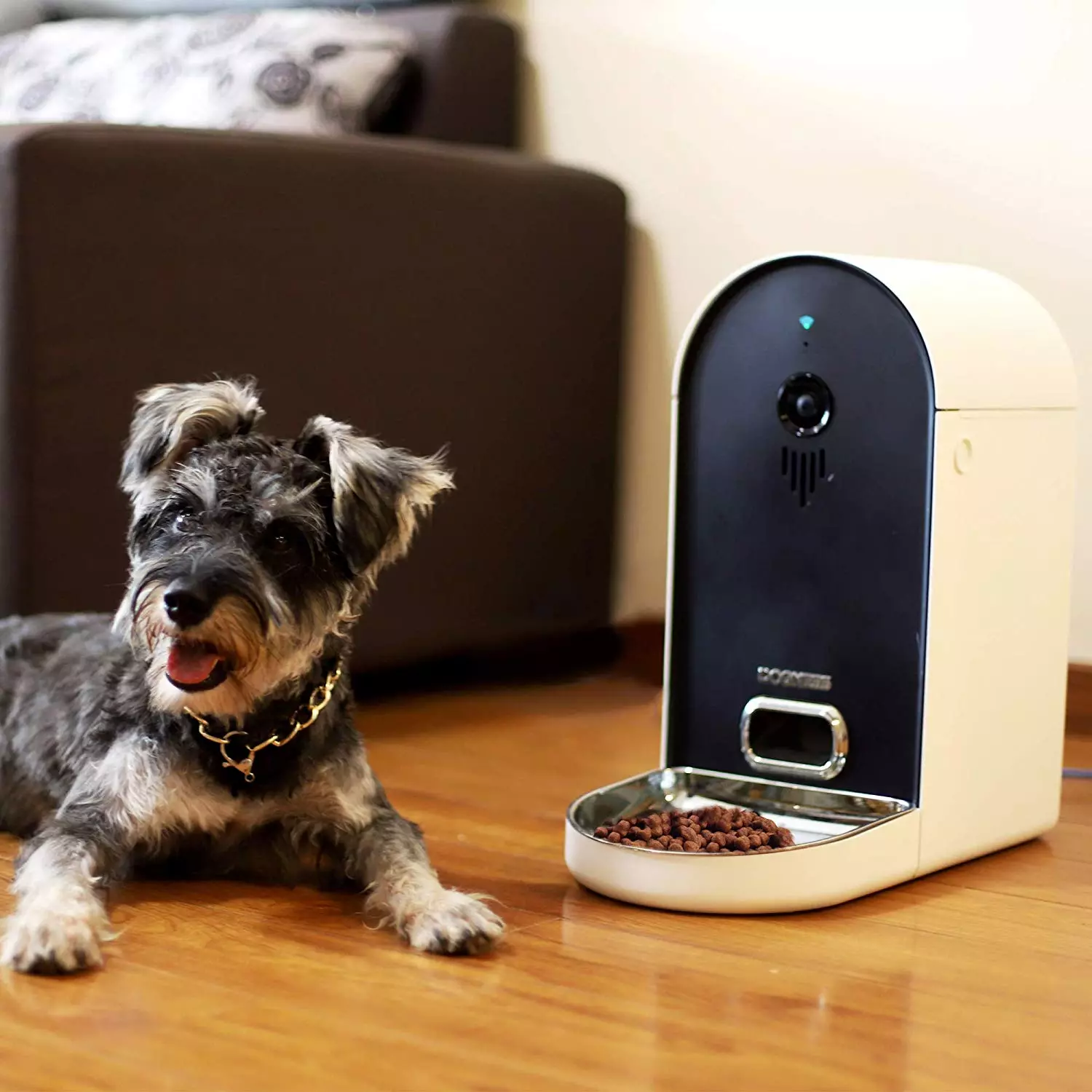 أفضل 10 مغذيات تلقائية للكلاب: DOGNESS Automatic WiFi Smart Camera Feeder