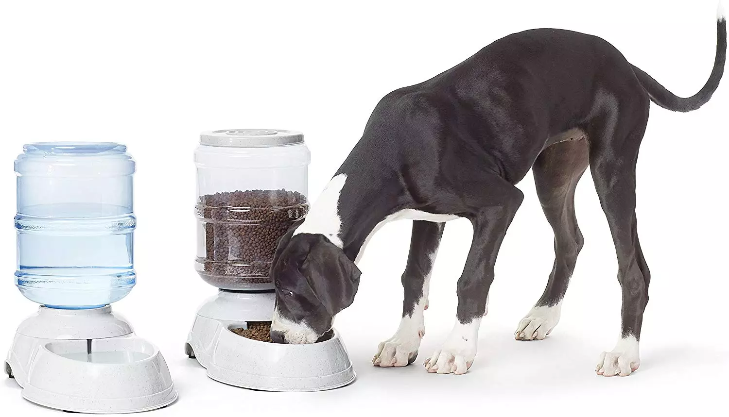 Comederos para perros alimentados por gravedad Conceptos básicos de Amazon