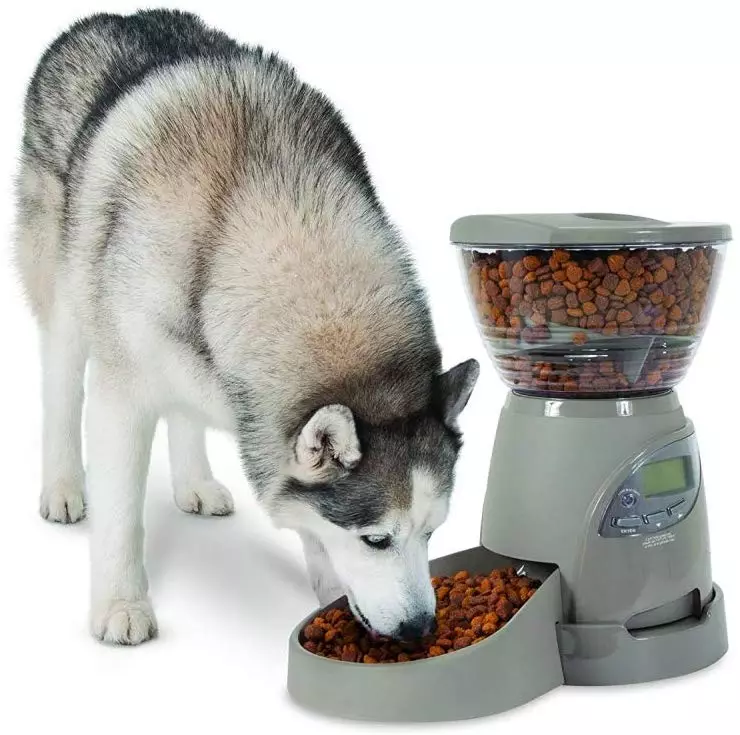 Vertically-fed feeder Petmate Portion