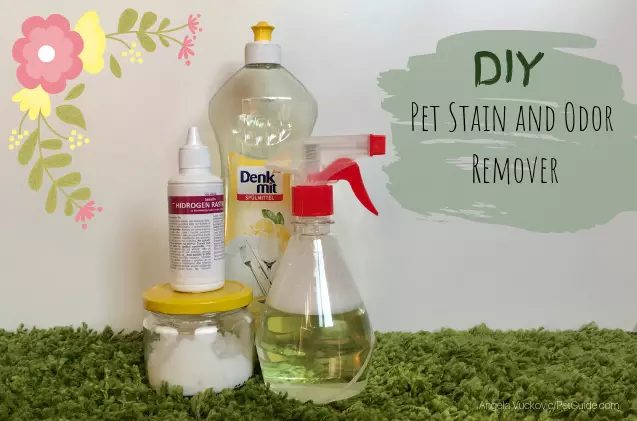 DIY Pet Stain ແລະເຄື່ອງກໍາຈັດກິ່ນ 487_1