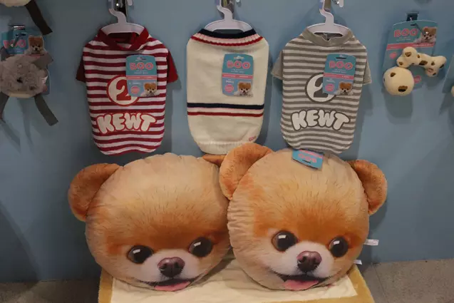 Boo the Pomeranian pet line