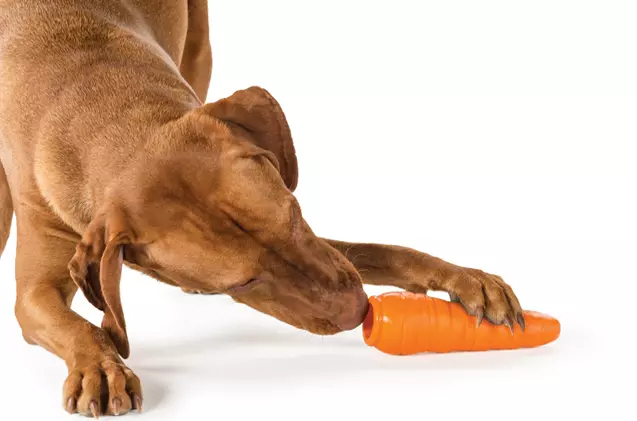 Planet Dog adaugă o nouă recoltă de morcovi liniei sale de jucării pentru câini 4961_1