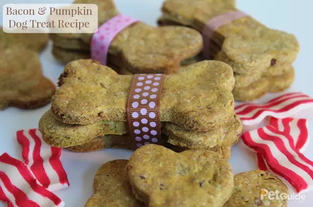 Bacon and Pumpkin Dog Treat Recipe 4992_1