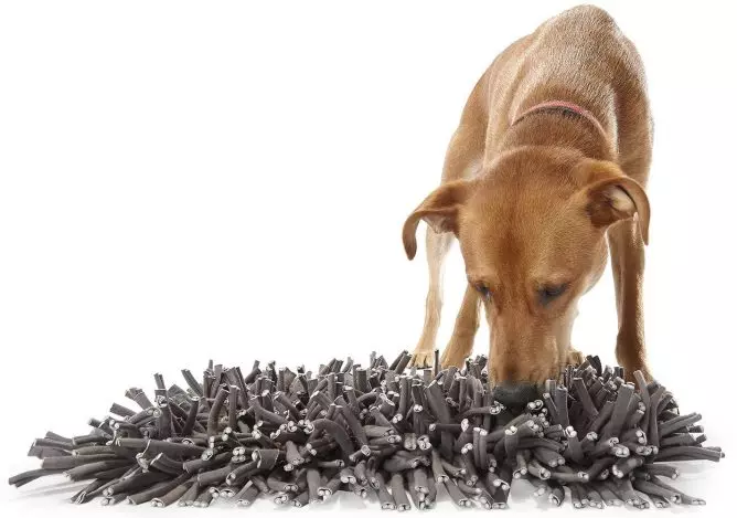 நாய்களுக்கான Snuffle Mats என்றால் என்ன? 5008_1