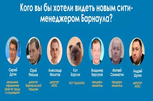 barsik-cat-corre-para-presidente-rusia