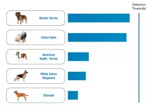 wisdom-panel-2.0-zelda-results-1