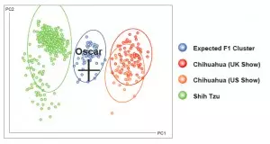 wisdom-panel-2.0-oscar-resultater-2