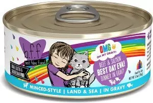 Ti o dara ju Vet Niyanju Cat Food 5415_8