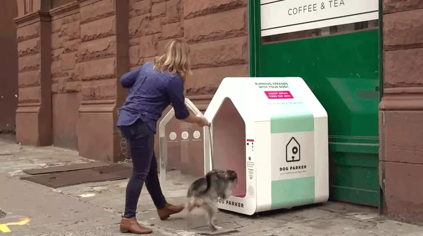 Os Dog Parkers están a ser retirados das rúas da cidade de Nova York