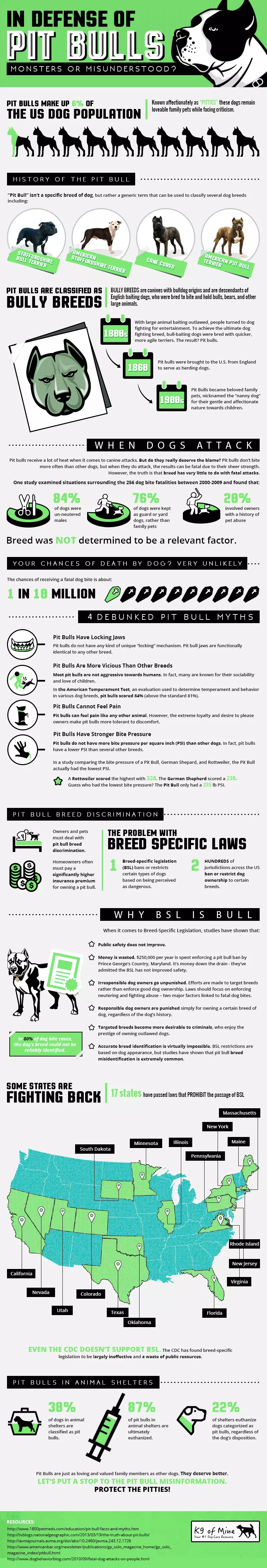 Pitbulls dị ize ndụ - nweta eziokwu sitere na infographic a na-enye nghọta.