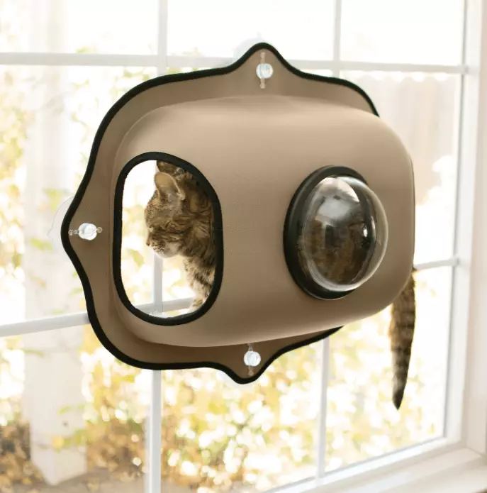 Ibyiza bya Cat Window 5635_10