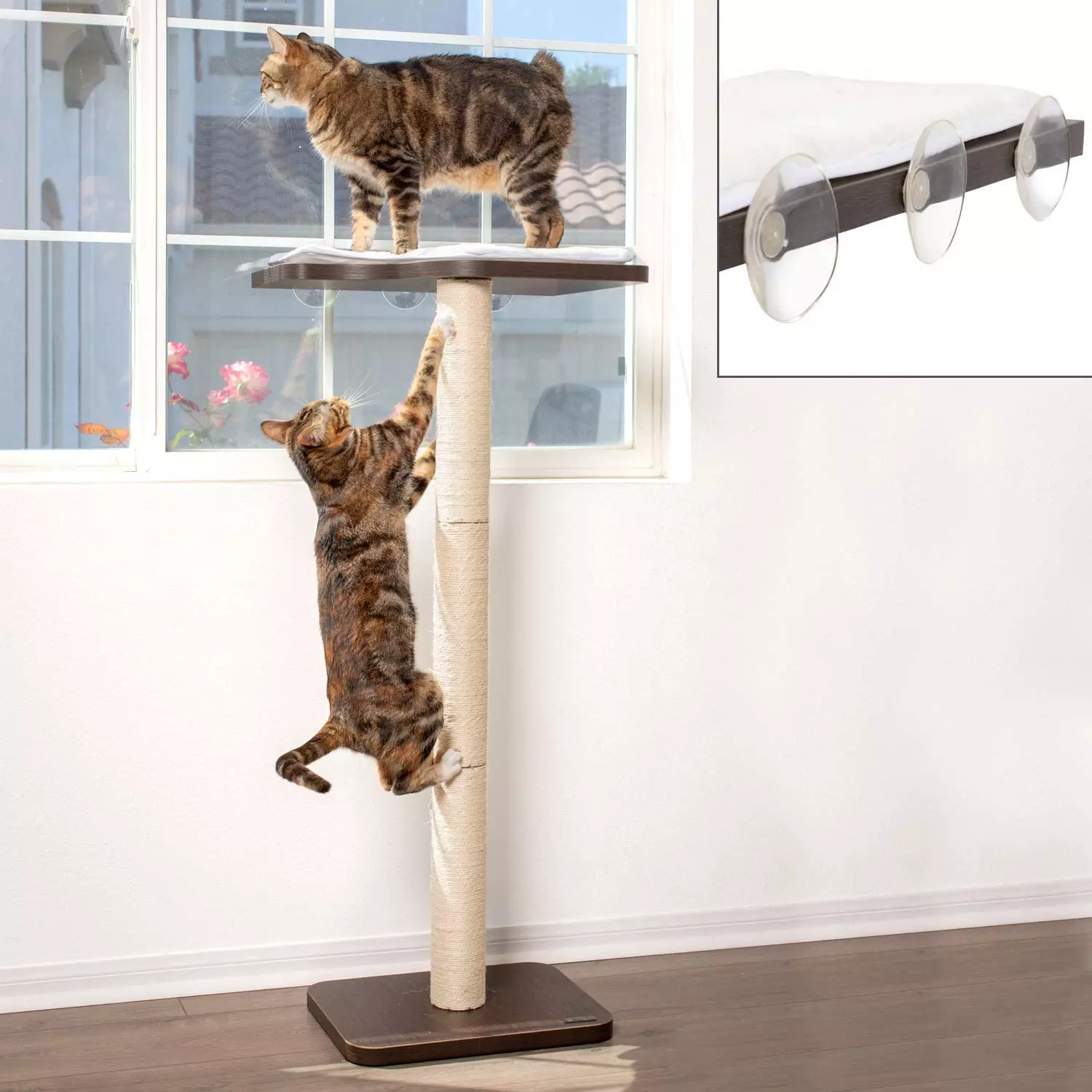 Perches Tingkap Kucing Terbaik 5635_12