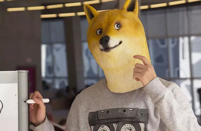 Baie pret Doge Knick-Knacks: Doge Mask