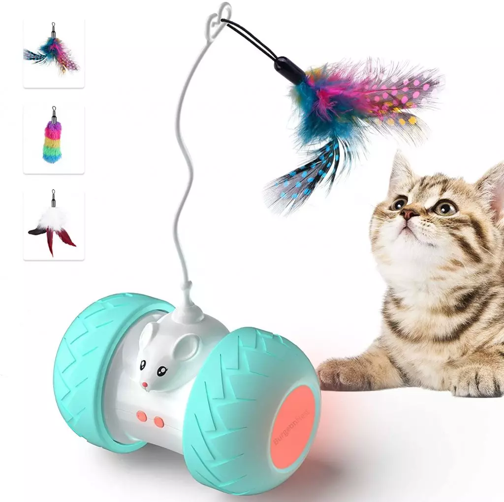 Meilleurs jouets pour chats 5865_10