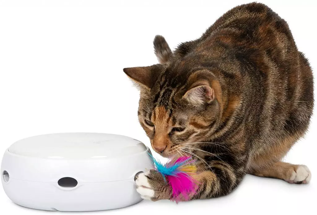 Meilleurs jouets pour chats 5865_7