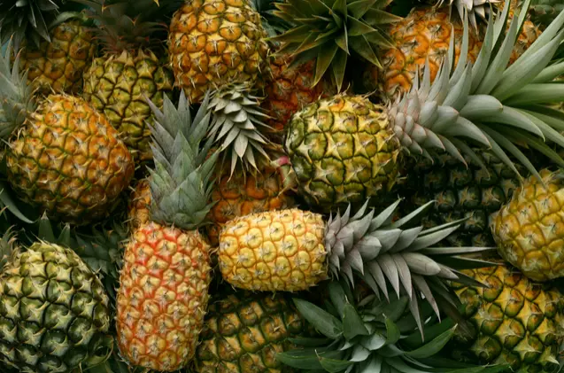 Köpekler herhangi bir yan etki veya risk yaşamadan ananas yiyebilir mi?