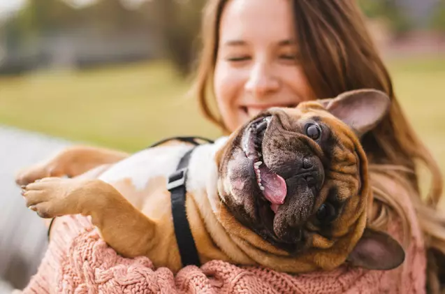Studiu: Hormonul oxitocinei atrage câinii spre fețe zâmbitoare