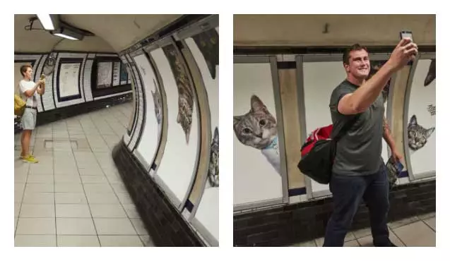 Katte-overtagelse-London-metro-6