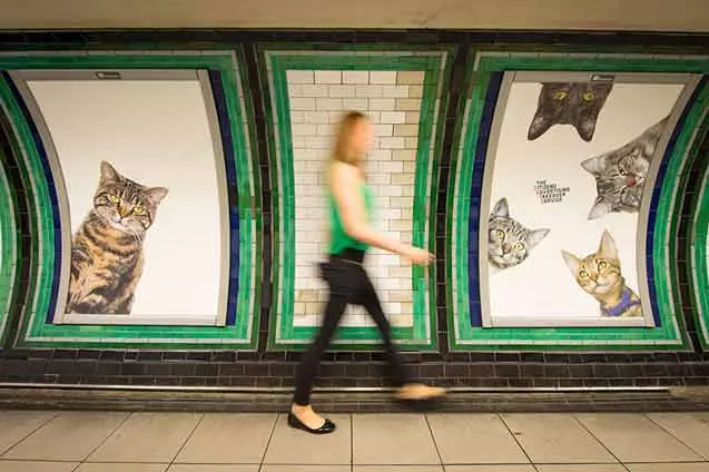 CATS-takeover-London-Subway-5