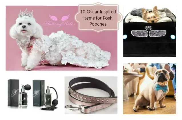 10 Oscar-Worthy Swag Bag Accessories foar Chic Canines 6285_1