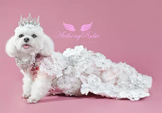 Dit is Anthony Rubio's 'Crown Jewels'-jurk, in doggy-jurk makke mei blomfoarmige chiffon, seide en hûnderten kristallen.