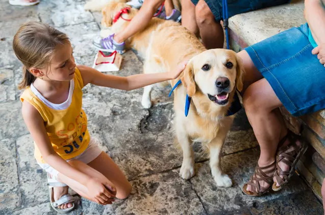 Çalışma: Terapi Köpekleri OSB Çocukların Sosyal Becerilerini Geliştirmesine Yardımcı Olur 6345_1