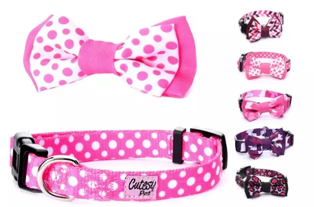 Cutesy Pet collars អនុញ្ញាតឱ្យ Bernedoodle របស់អ្នកស្អាតដូចនាងចង់ក្លាយជា