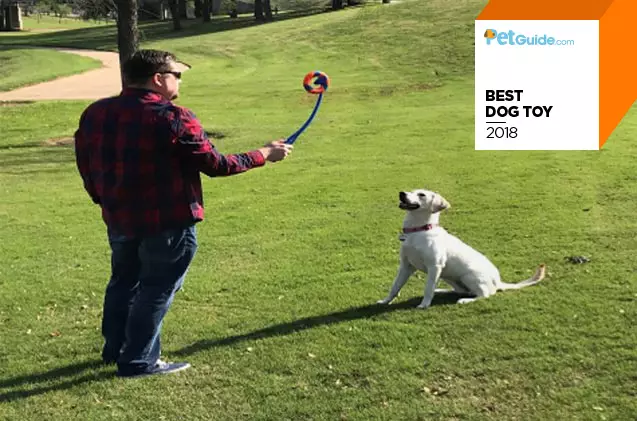 Il miglior giocattolo per cani di PetGuide del 2018: Chuckit RingChaser di Petmate 63_1