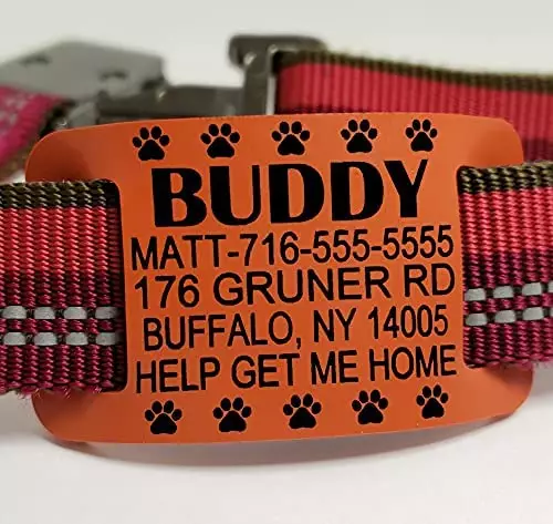 Beschte Dog ID Tags 6595_4