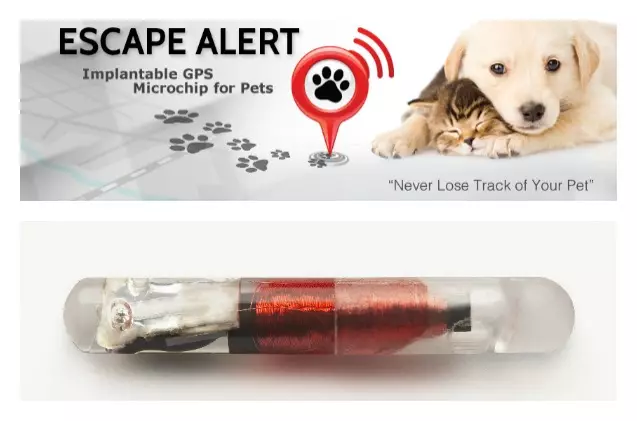 Escape Alert! Ny Kickstarter-kampanj för GPS Pet Microchip startar 23 september 6644_1