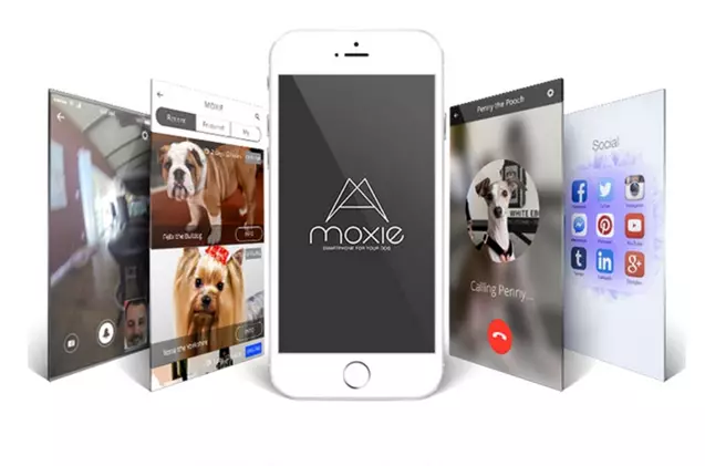 Moxie de la Kickstarter este primul smartphone pentru animale de companie